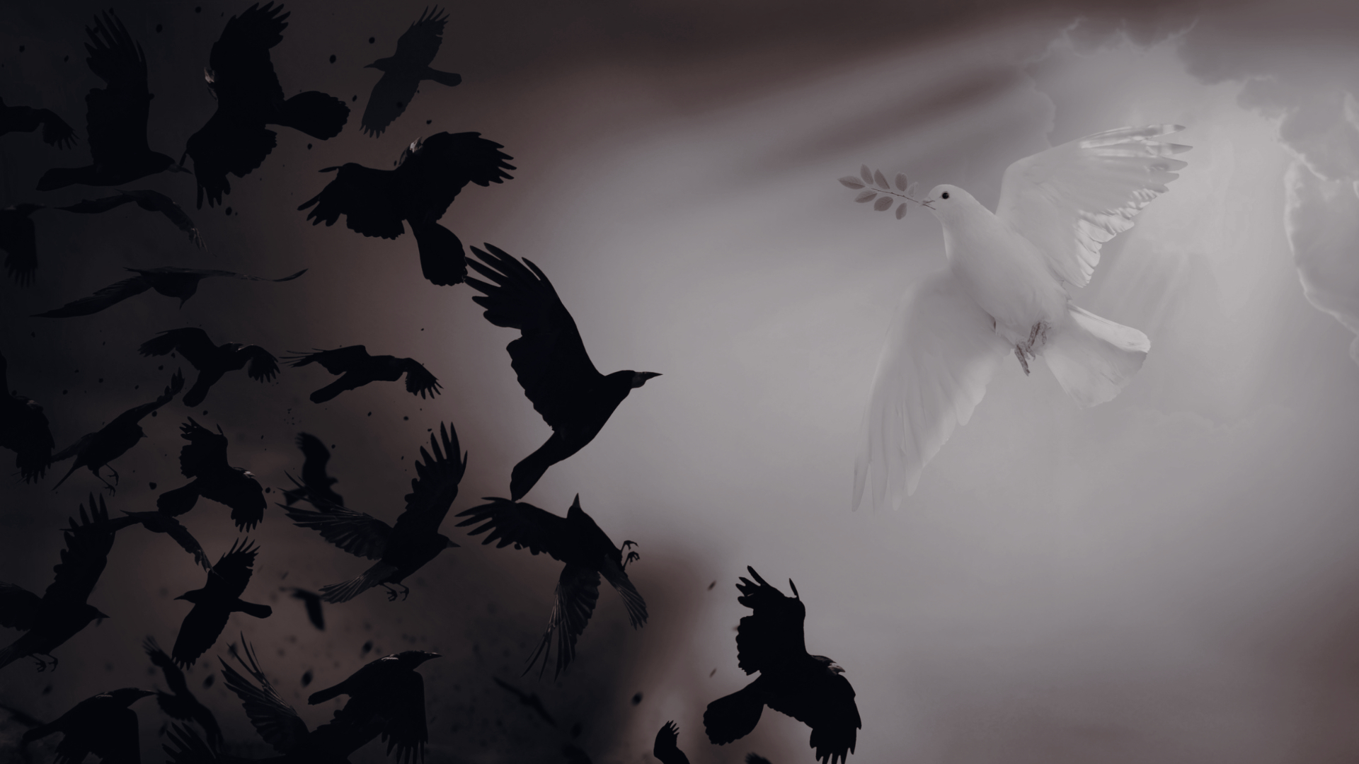 The Dichotomy – Annie's Poetry