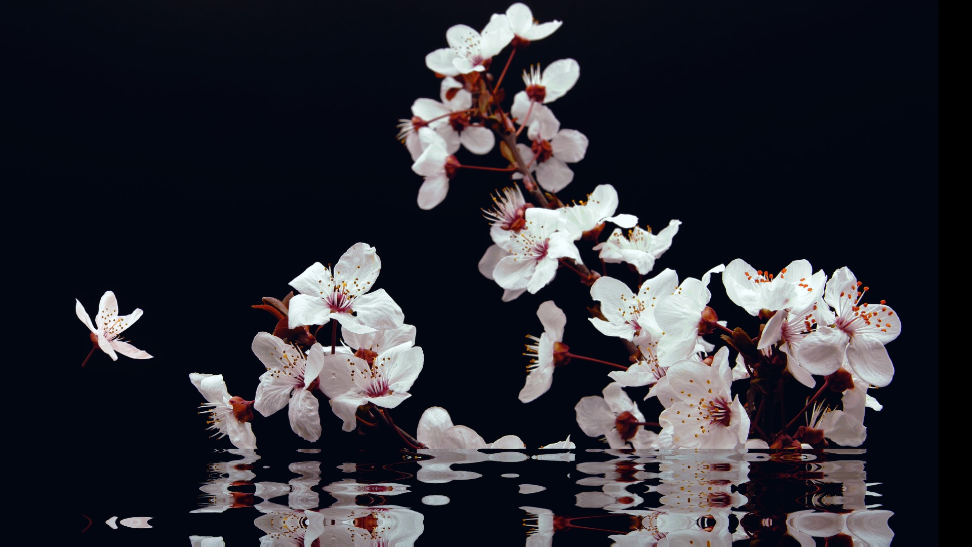 Fragments Of You – Annie's Poetry